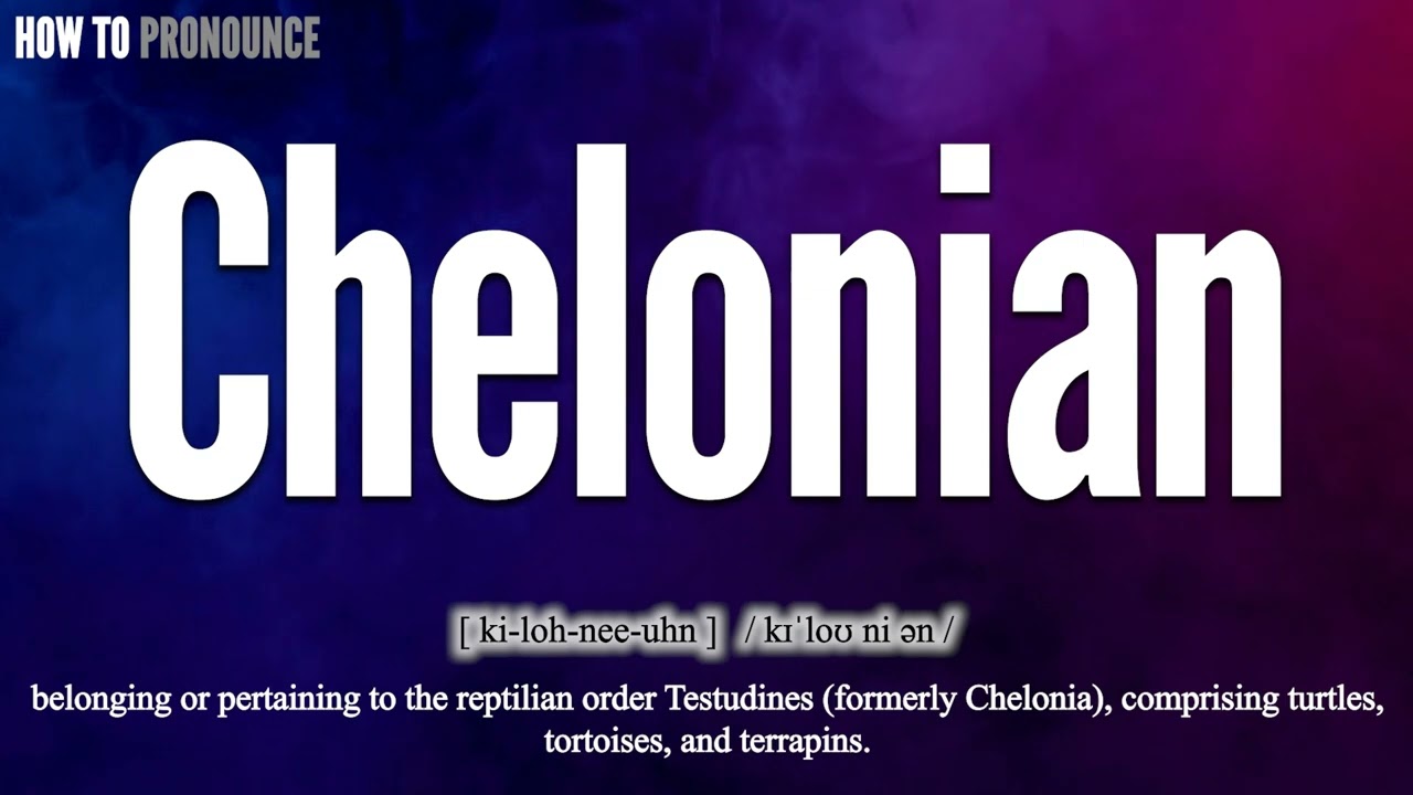 Chelonian Pronunciation | How to Pronounce (say) Chelonian CORRECTLY ...