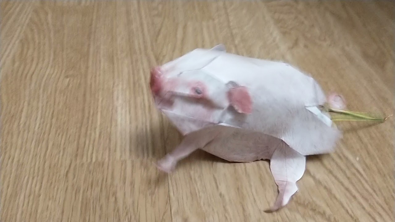 Battery powered pig goes round and round - YouTube
