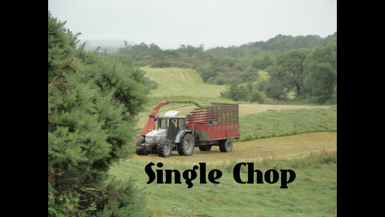 Silage 2014-Single Chop Silage - YouTube