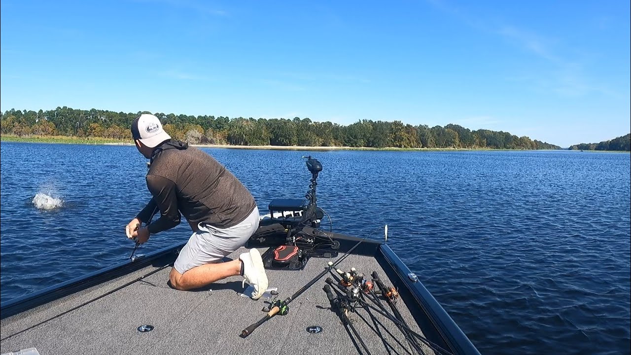 Rodman Reservoir Drawdown Madness! Afternoon Fishing Action! - YouTube