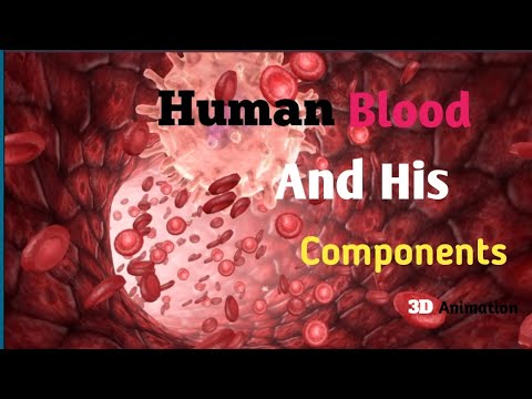 Human Blood and his compositions|Nursing|#blood #3danimation - YouTube