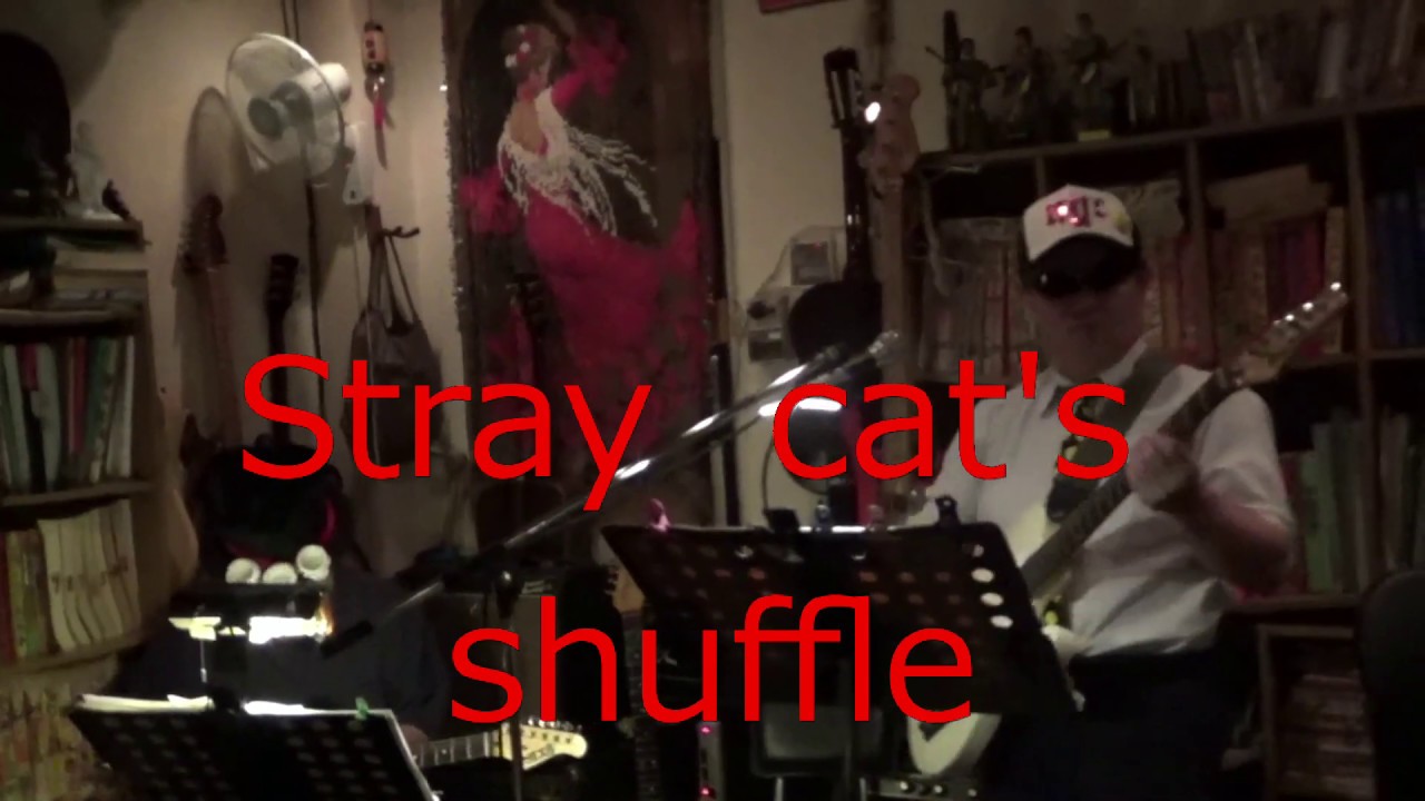 Stray cat's shuffle - YouTube