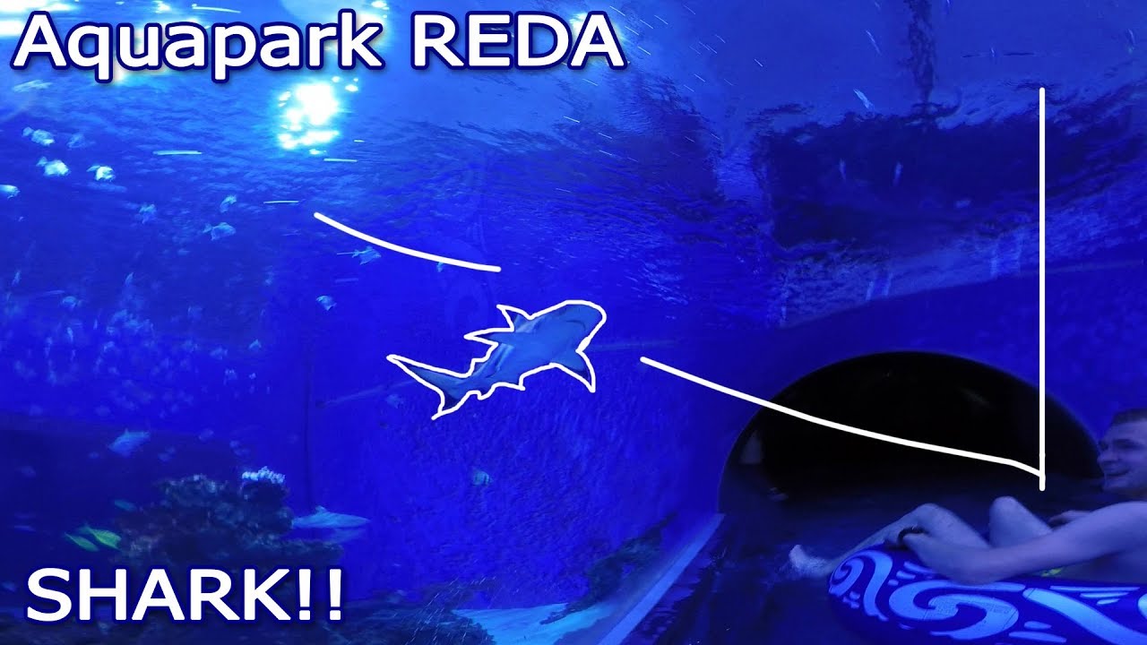 Shark Water Slide / Zjeżdzalnia z Rekinami - Aquapark Reda - FullHD ...