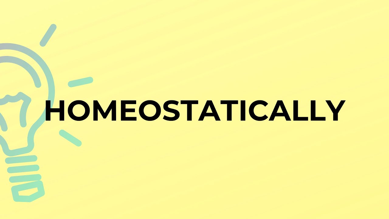 What is the meaning of the word HOMEOSTATICALLY? - YouTube