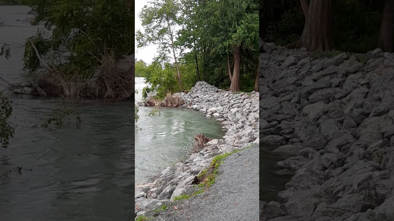 Vedder river campground - YouTube