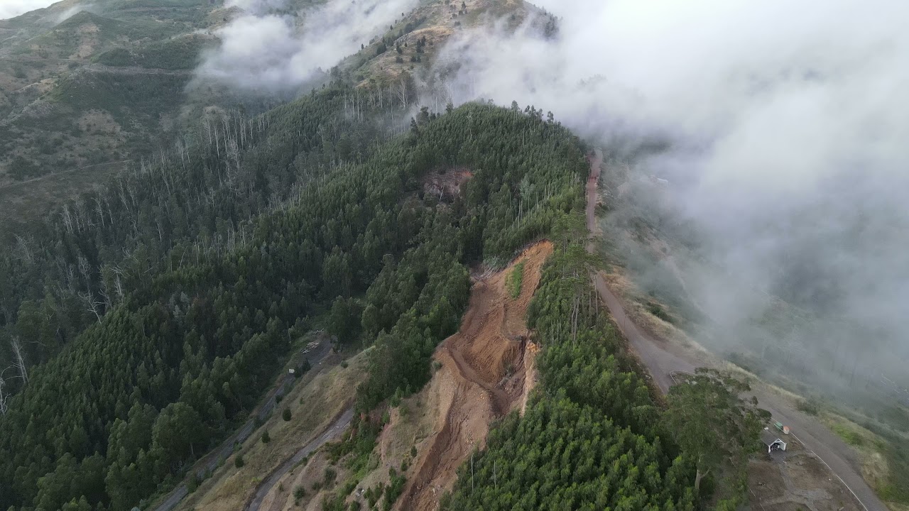 Funchal Forest Drone Clouds Fog Trees Mountain - YouTube