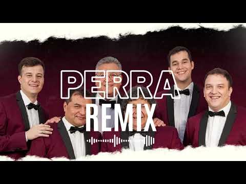 PERRA / LOS PALMERAS / REMIX / DJ SNAYDER