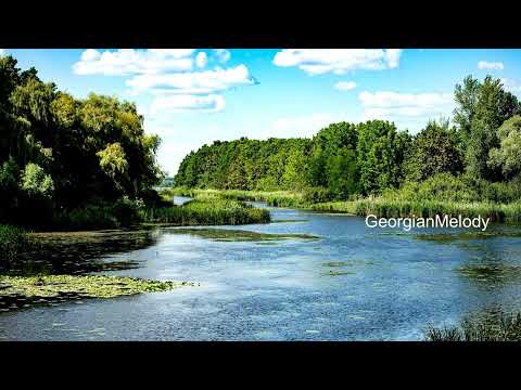 ხვალ მივდივარ ალაზანზე - მერაბ კაშია/Merab Kashia#saqeifosimgerebi