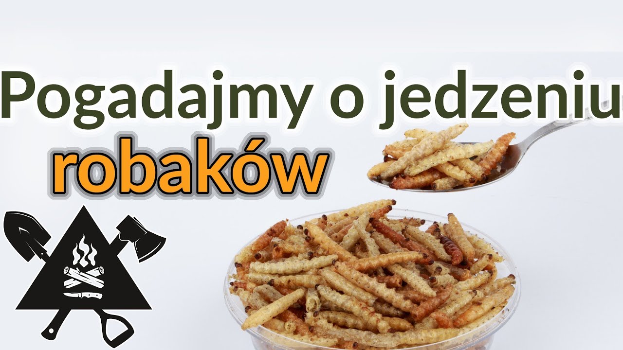 Hodowla i jedzenie owadów dla preppera, rolnika i astronauty. Jak ...