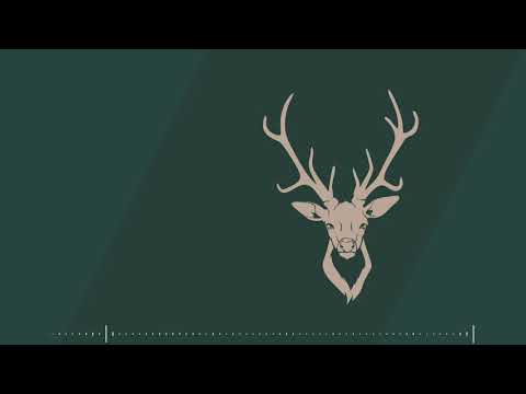 Azer Bülbül Feat. Dj Dikkat - Canım Yanıyor