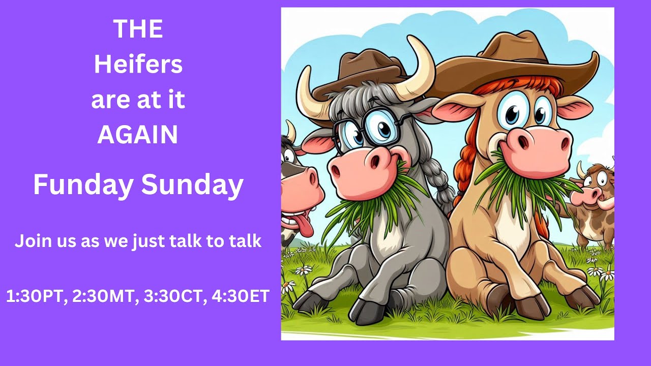 Funday Sunday! Sheni, Dig, Chat - YouTube