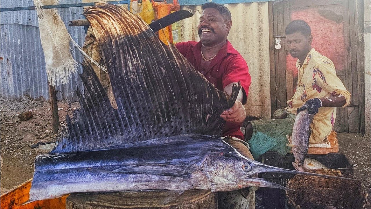 68kg MONSTER MAYIL KOLA FISH🔥| KASIMEDU SELVAM FISH CUTTING | KASIMEDU ...