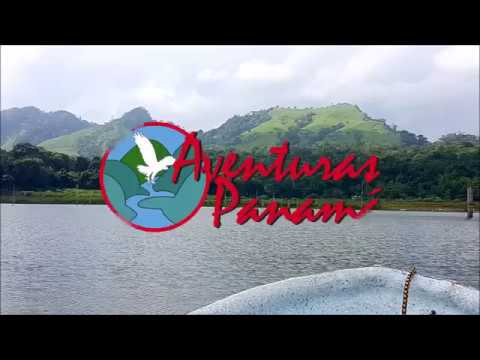 Bayano Canyoning with Adventures Panama on July 21st, 2019 - YouTube