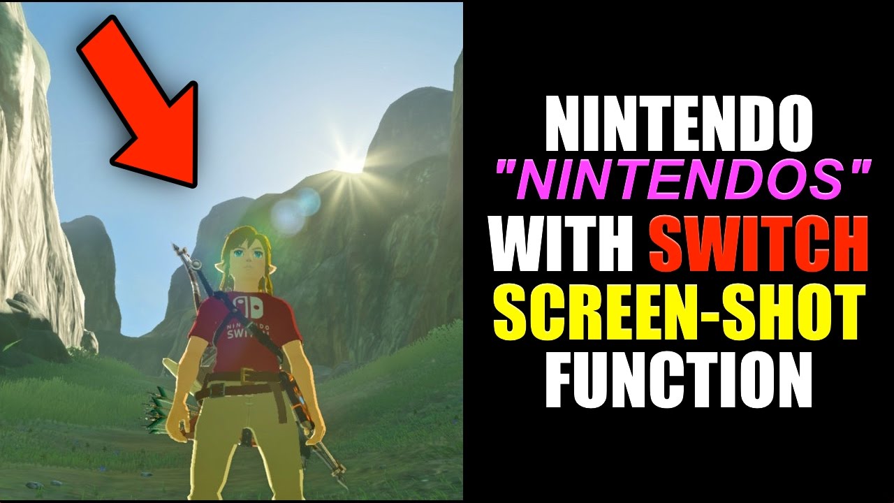 2 DUMB things, Switch Screen-Shot function - Nintendo’s gotta Nintendo ...