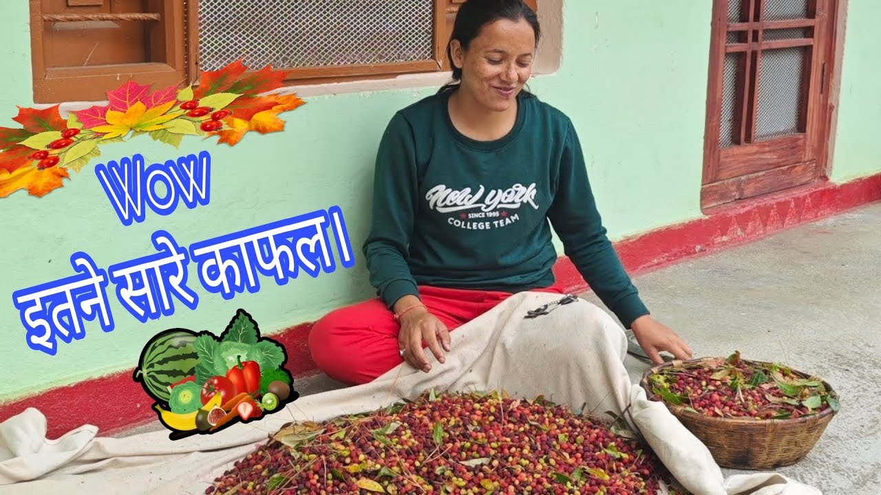 kafal💞 Special fruit of Uttarakhand💞 - YouTube