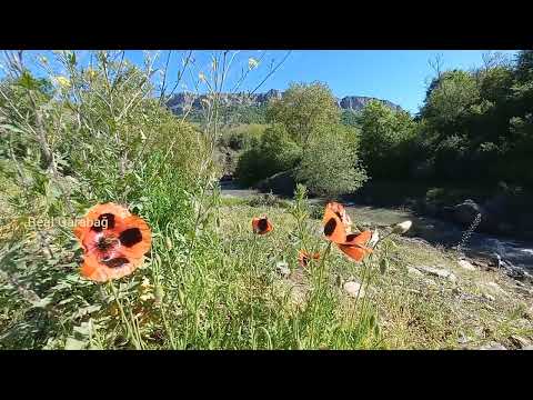 Şuşa, Daşaltı çayının kənarından gözəl mənzərə