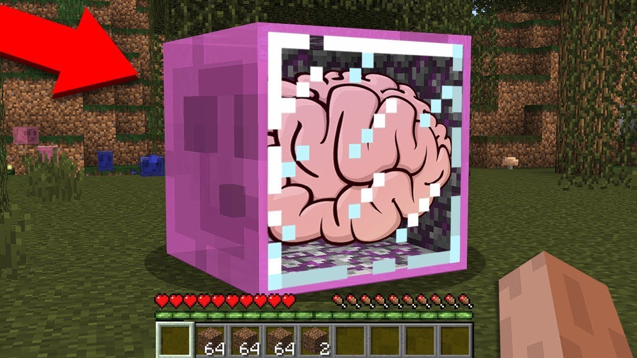 : NOOB FOUND a HUGE BRAIN INSIDE a STRANGE SLIME! #minecraft - YouTube