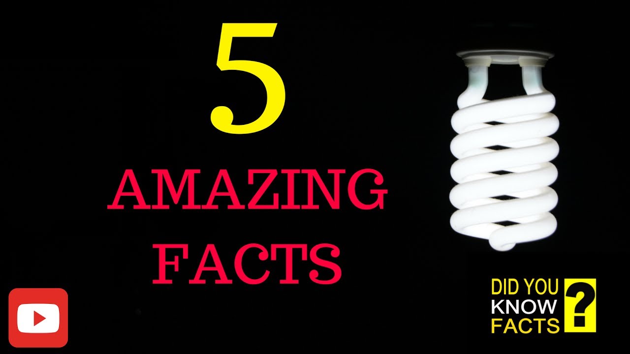 5 AMAZING Facts In ONE Minute 1 YouTube 5-amazing-facts-in-one-minute-1-youtube