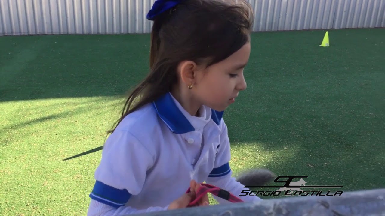 sergio castilla enero 22 2019 video 1 - YouTube