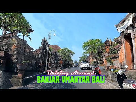 JALAN BANJAR UMANYAR BALI || DRIVING AROUND - YouTube
