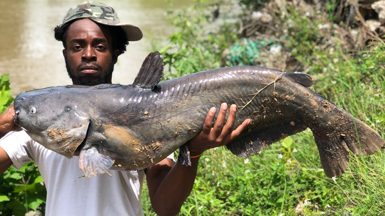 MONSTER BLUE CATFISH (new PB) !! - YouTube