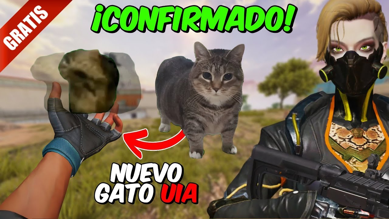NUEVO GATO UIA CONFIRMADO, SKIN DE NOVA Y SKINS DE ARMA GRATIS! - YouTube