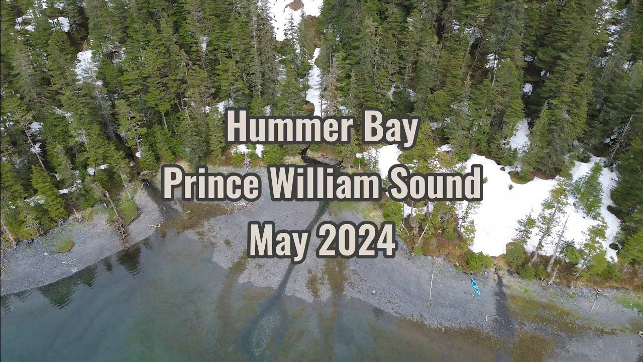 Hummer Bay, Prince William Sound, Alaska - Drone Footage - YouTube