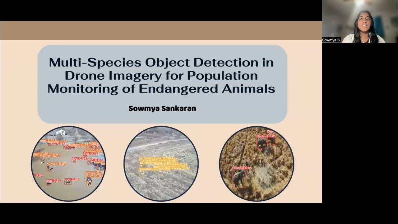 Multi-Species Object Detection in Drone Imagery for Population ...