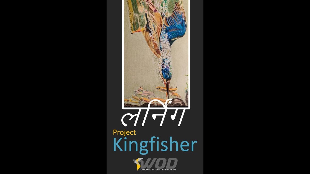 Learnings from kingfisher project - YouTube