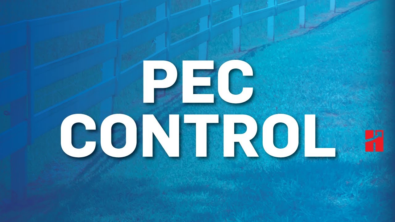 Parceria Real H: Pec Control - YouTube