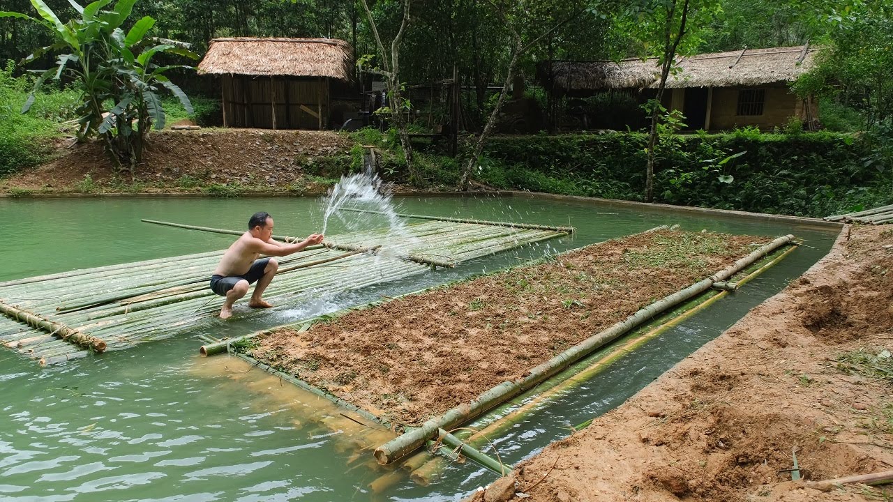 Primitive Skills: How to growing floating rice on a raft in a pond ...