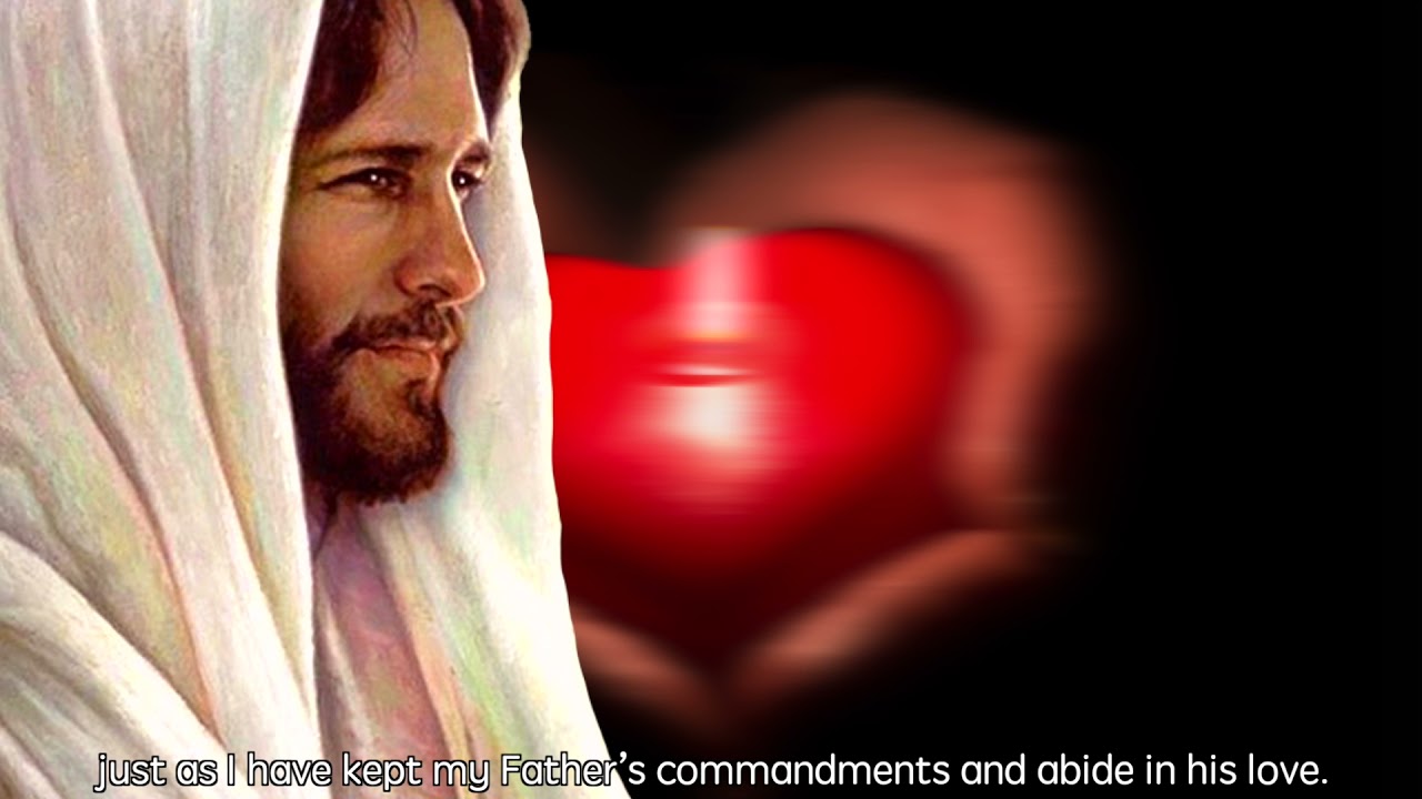 John 15 9 11 Jesus The True Vine YouTube john-15-9-11-jesus-the-true-vine-youtube