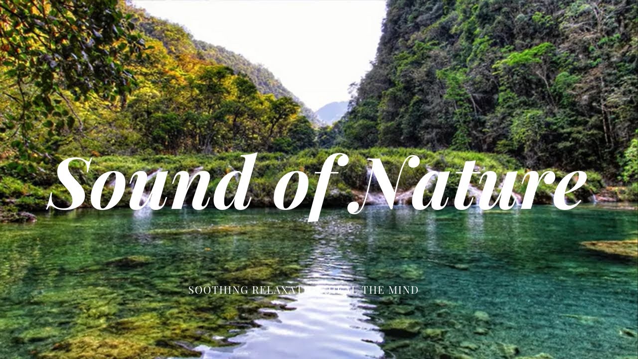 Tranquil lake waters, murmuring stream sounds, inducing peaceful sleep ...