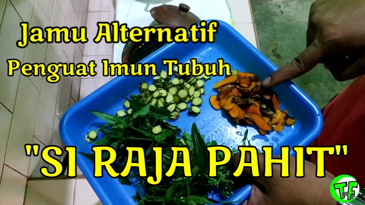 Cara Membuat Jamu Si "RAJA PAHIT" halal dan bermanfaat | Sambiroto + Brotowali - YouTube