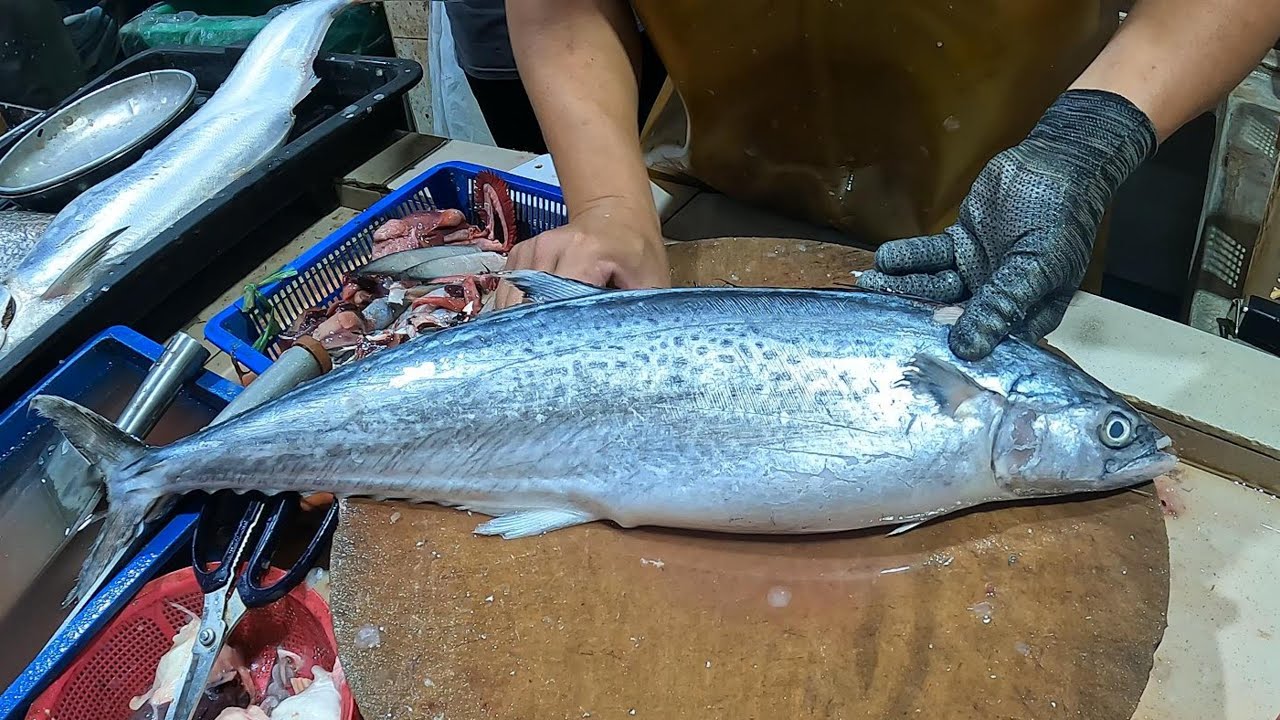 How to Perfectly Clean and Fillet a Spotted Mackerel – Full Guide! # ...