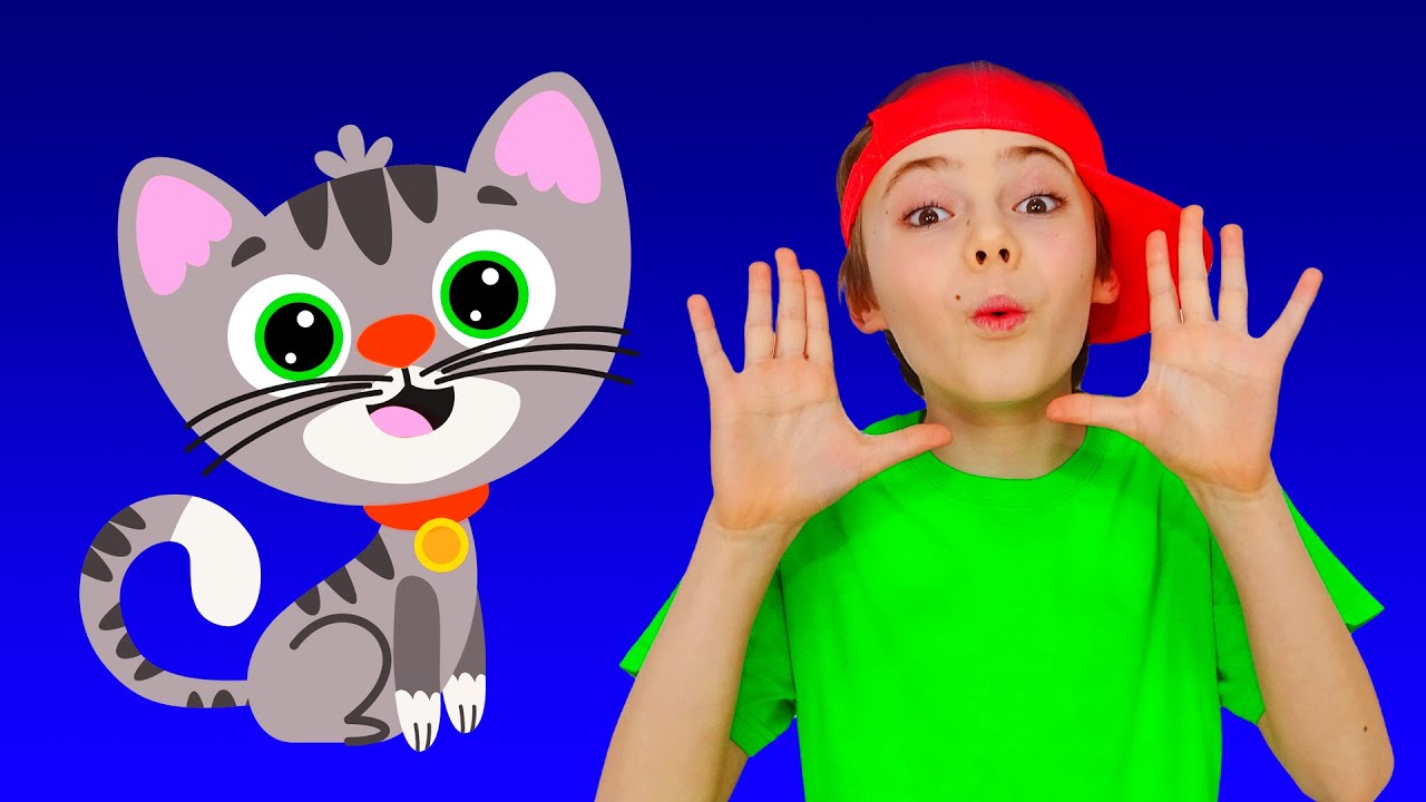 The Animal Sounds Song + more | Kids Songs - YouTube