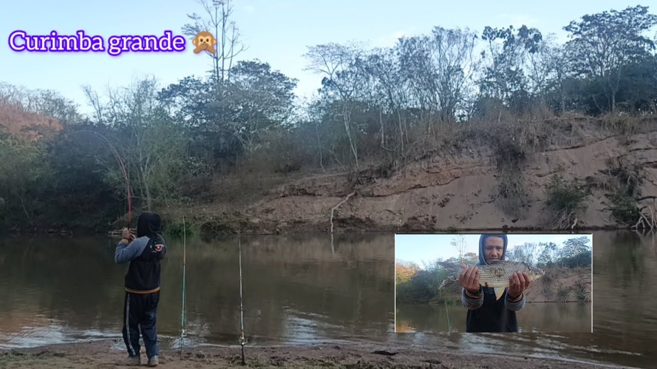 Curimba grande mais almoço top 🤤🙌🏾 !! - YouTube