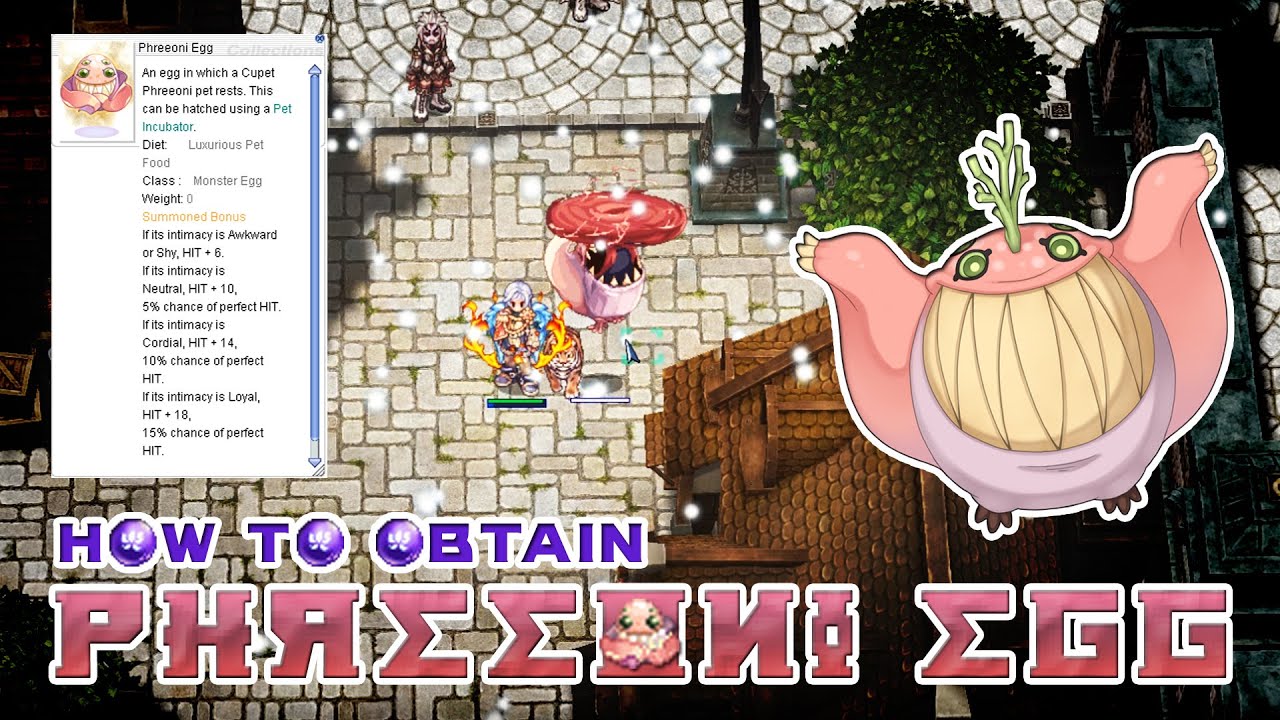 iRO Sv.Chaos—How to obtain Phreeoni Egg ♫— ไข่บอสพีโอนี่ ฉันเลือกนาย ...