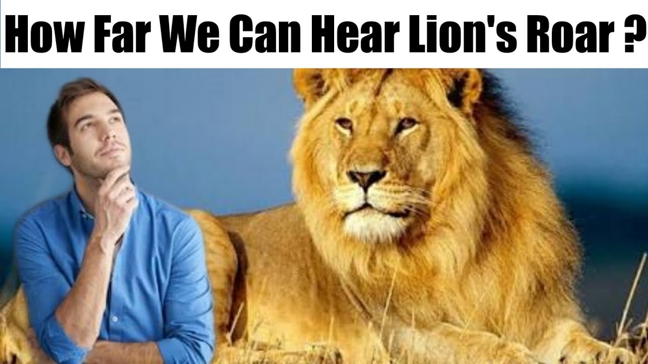 10 Amazing facts to improve your knowledge || Treasure Of Facts - YouTube