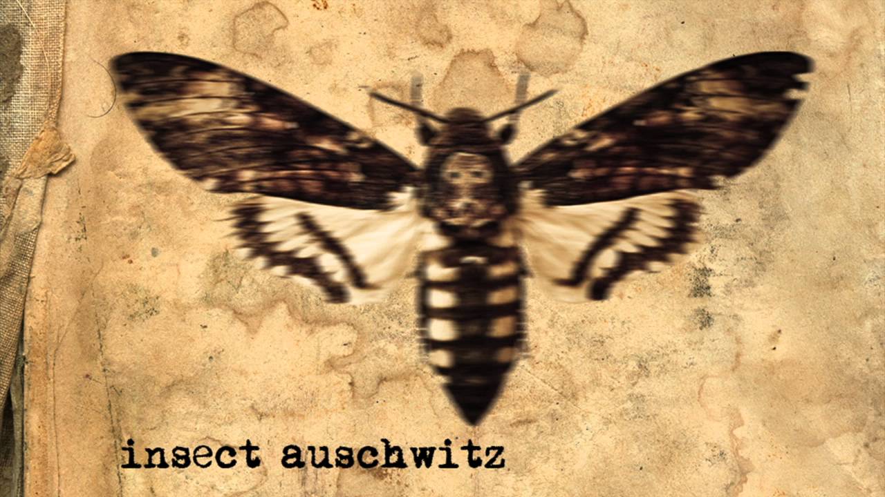 Insect Auschwitz - YouTube