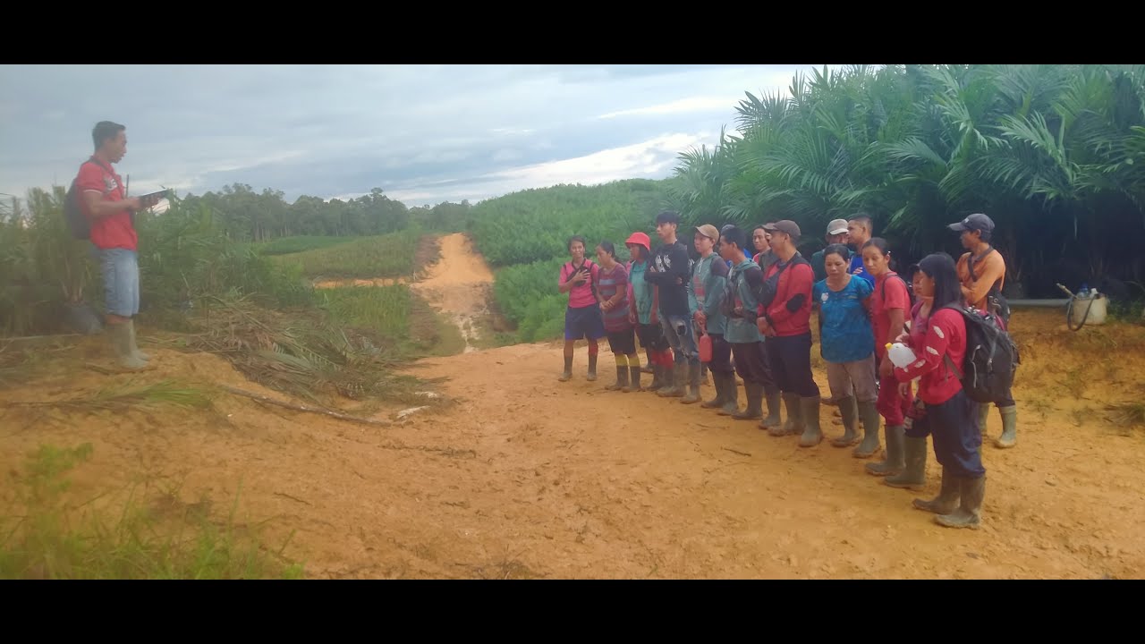 Ricky Andrewson Pait Manis Aku Telan ( karaoke ) - YouTube