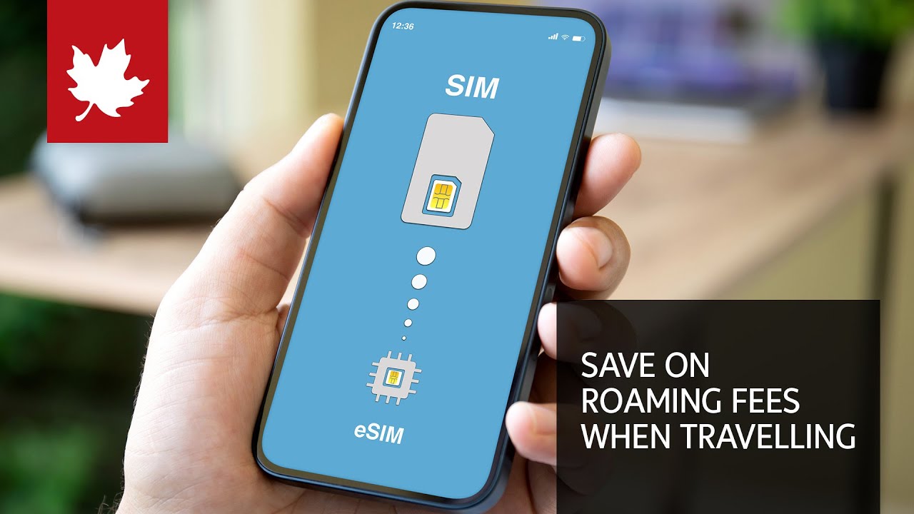 How to avoid paying roaming fees when you travel - YouTube