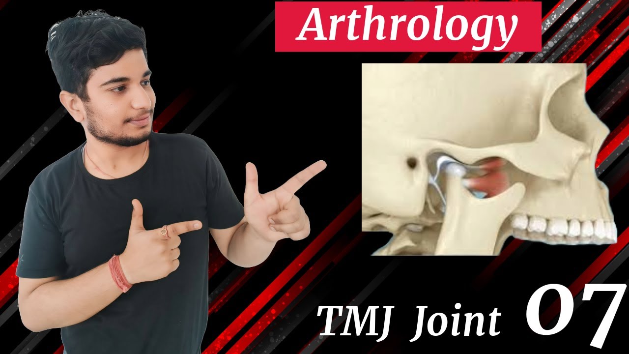 TMJ Joint // In format - Introduction, Articular surface , Ligaments ...