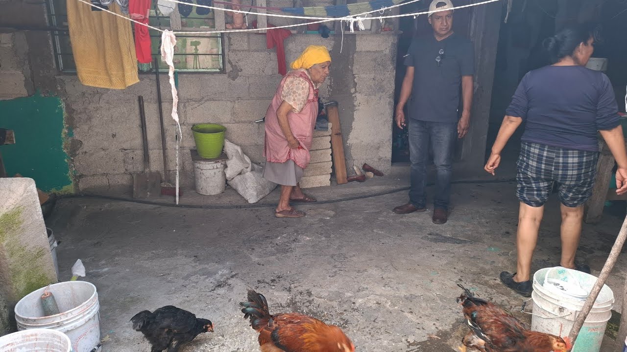 UN SABROSO CHILPOZO DE POLLO Y VIENDO LAS GALLINAS COMO VAN - YouTube