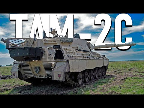 ONE OF THE BEST LIGHT TANKS | TAM 2C - WAR THUNDER - YouTube
