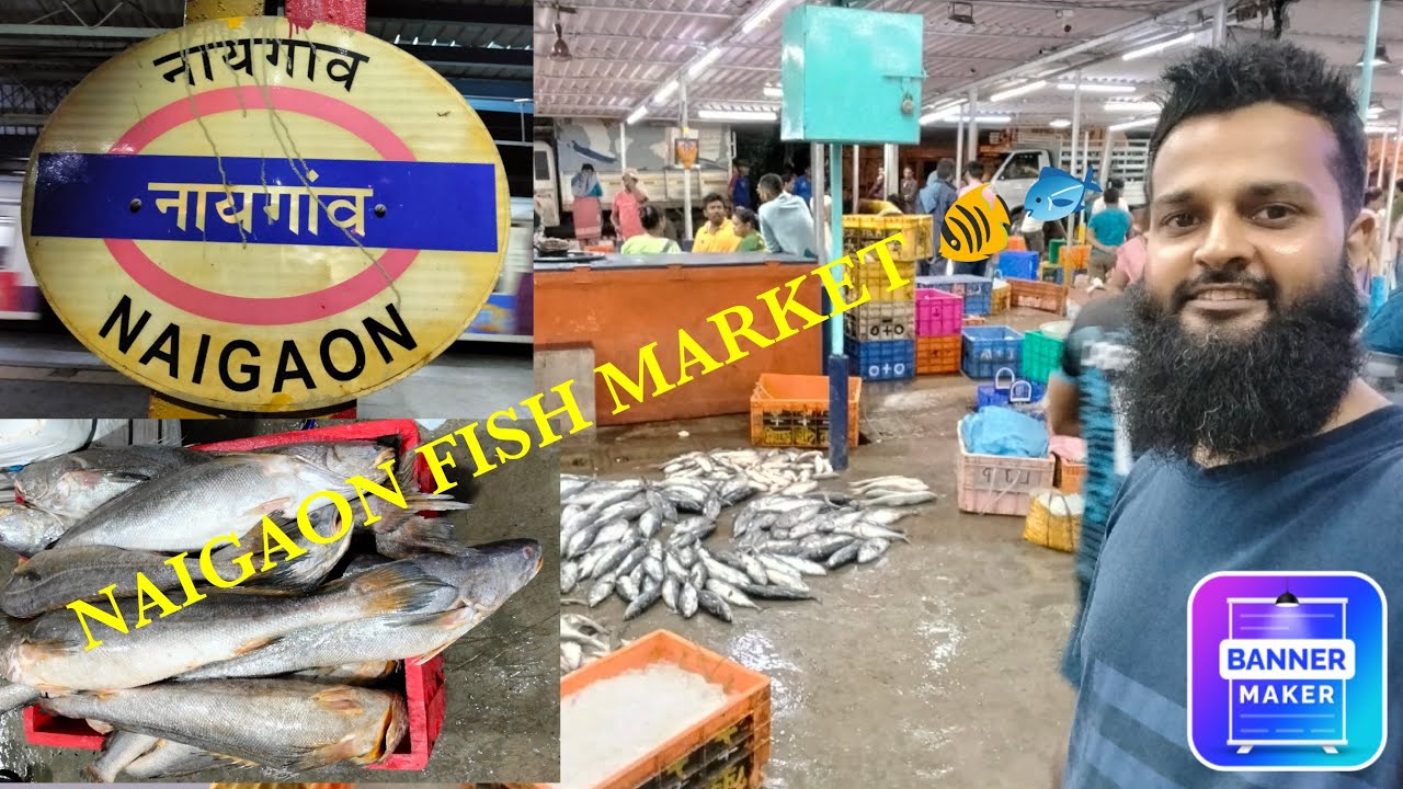 2/10/2023 NAIGAON WHOLESALE FISH 🐠🐟 MARKET TIME 8PM TO 1AM - YouTube