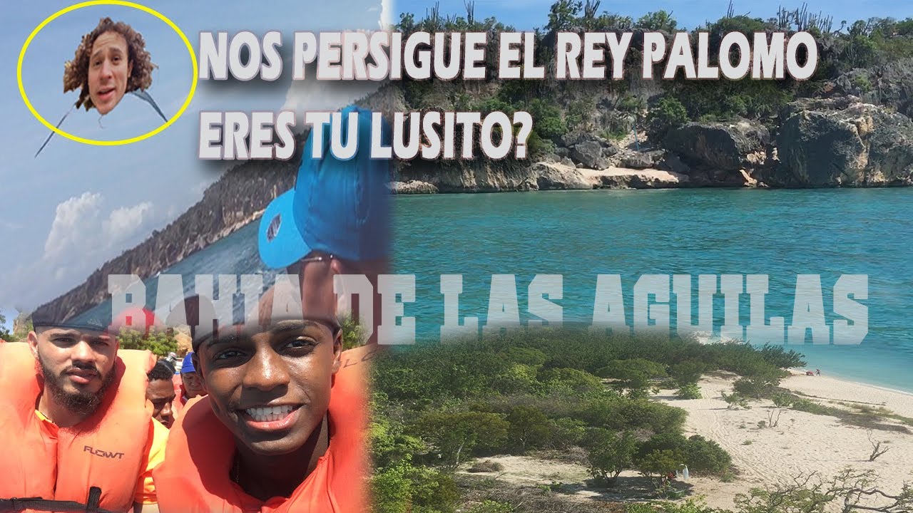 EL REY PALOMO NOS SIGUE EN BAHIA DE LAS AGUILAS | YoryiRD - YouTube