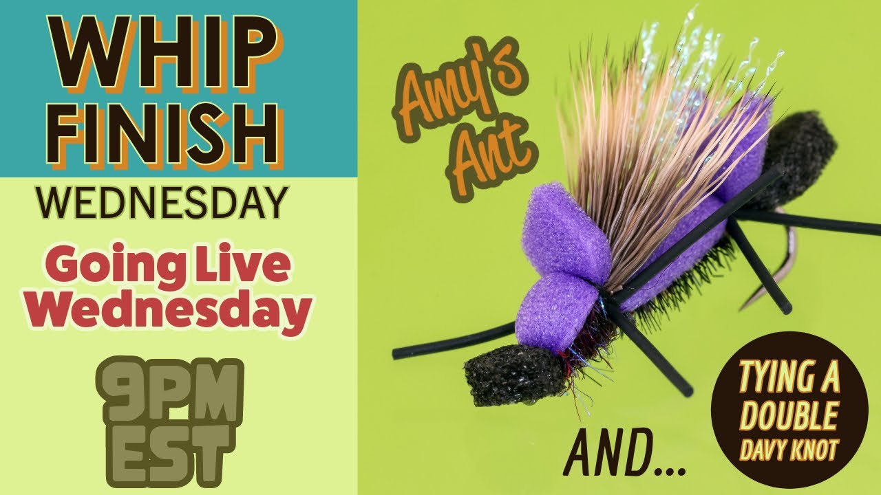 How To Fly Tying: Amy's Ant/Tying a Double Davy---Live on Whip Finish ...