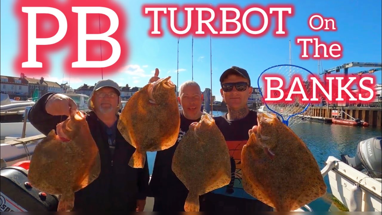 TURBOT FISHING GUERNSEY - with garfish baits - - YouTube