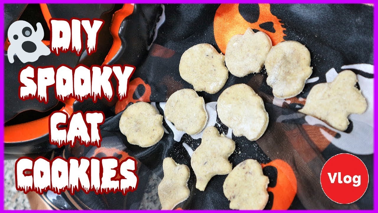 DIY Halloween Cat Cookies - How To Make Homemade Cat Treats? Spooky Cat ...